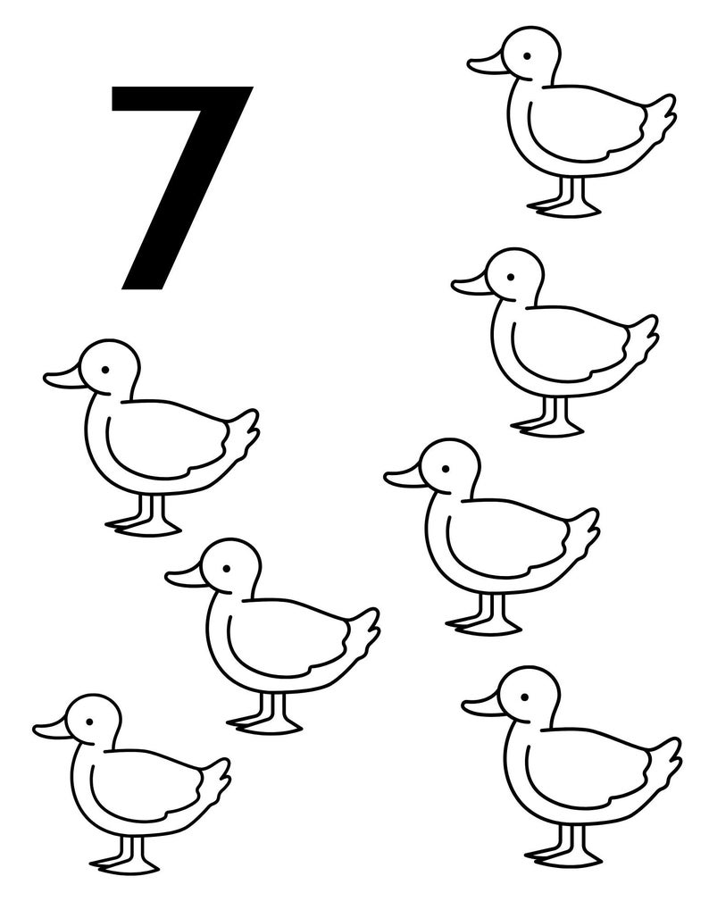 Count and Color Fun Activity Workbook Coloring Pages - Etsy