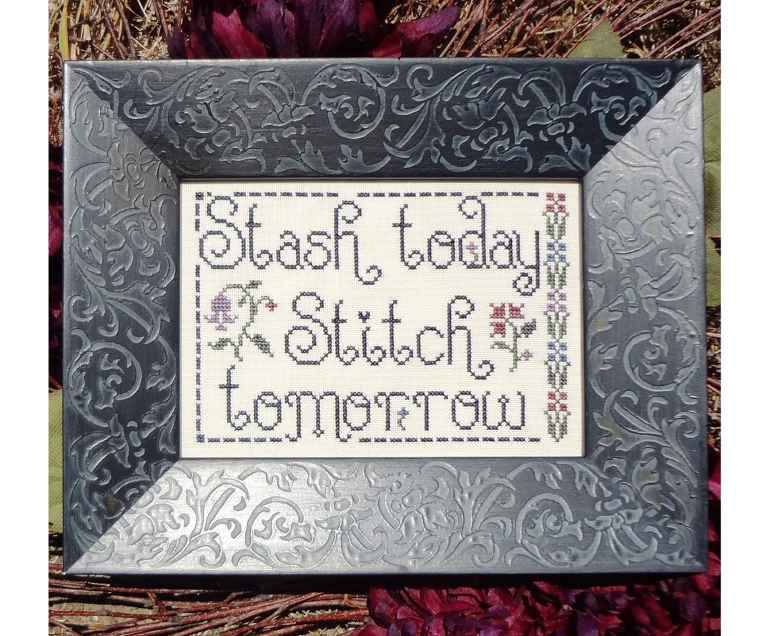 Stash Today, Stitch Tomorrow ~ Cute and Funny Cross Stitch Pattern My ...