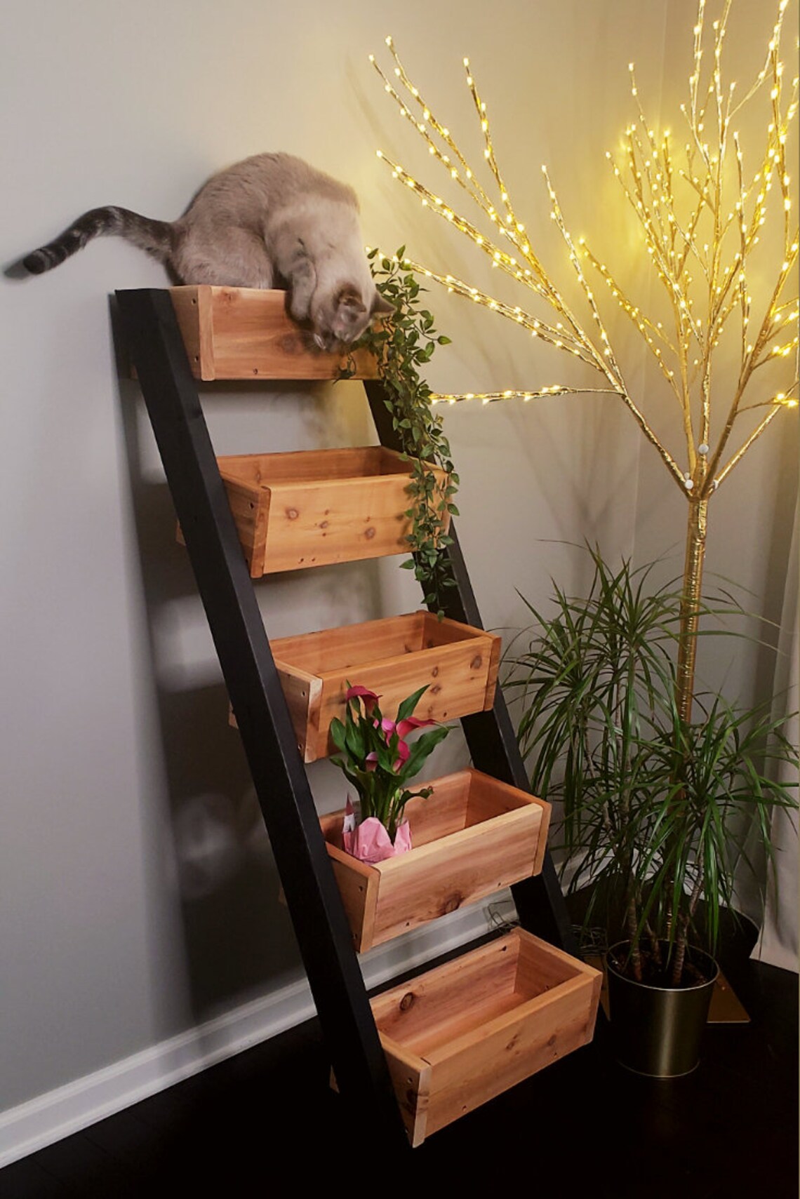 Buy DIY Vertical Ladder Planter Plan Online in India - Etsy