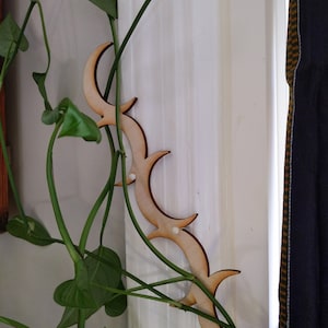 Half Moon Hanging Wall Plant Trellis - Etsy
