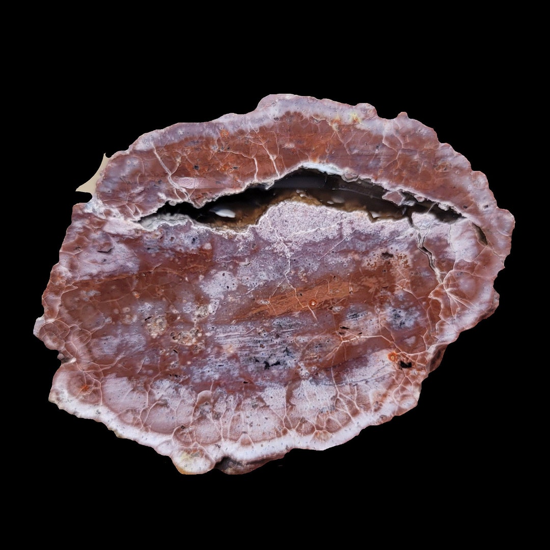 Black Hills Wiley's Well Thunderegg Polished Display Piece - Etsy