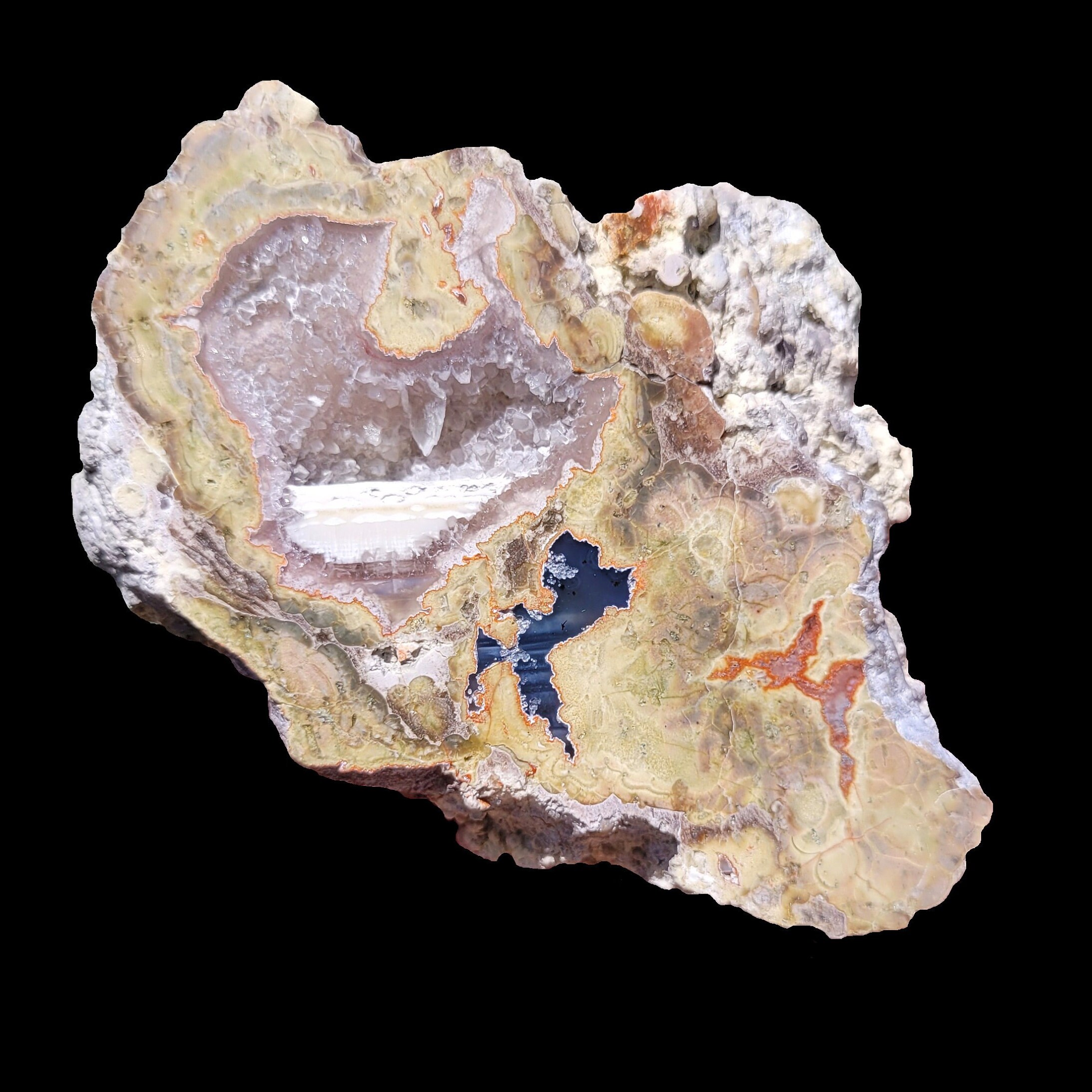 Fallen Tree Thunderegg Geode Polished Display Piece - Etsy