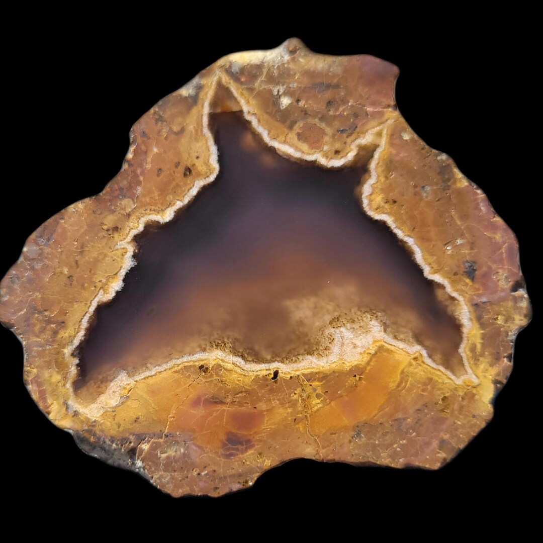 Friend Ranch Thunderegg Polished Display Piece - Etsy