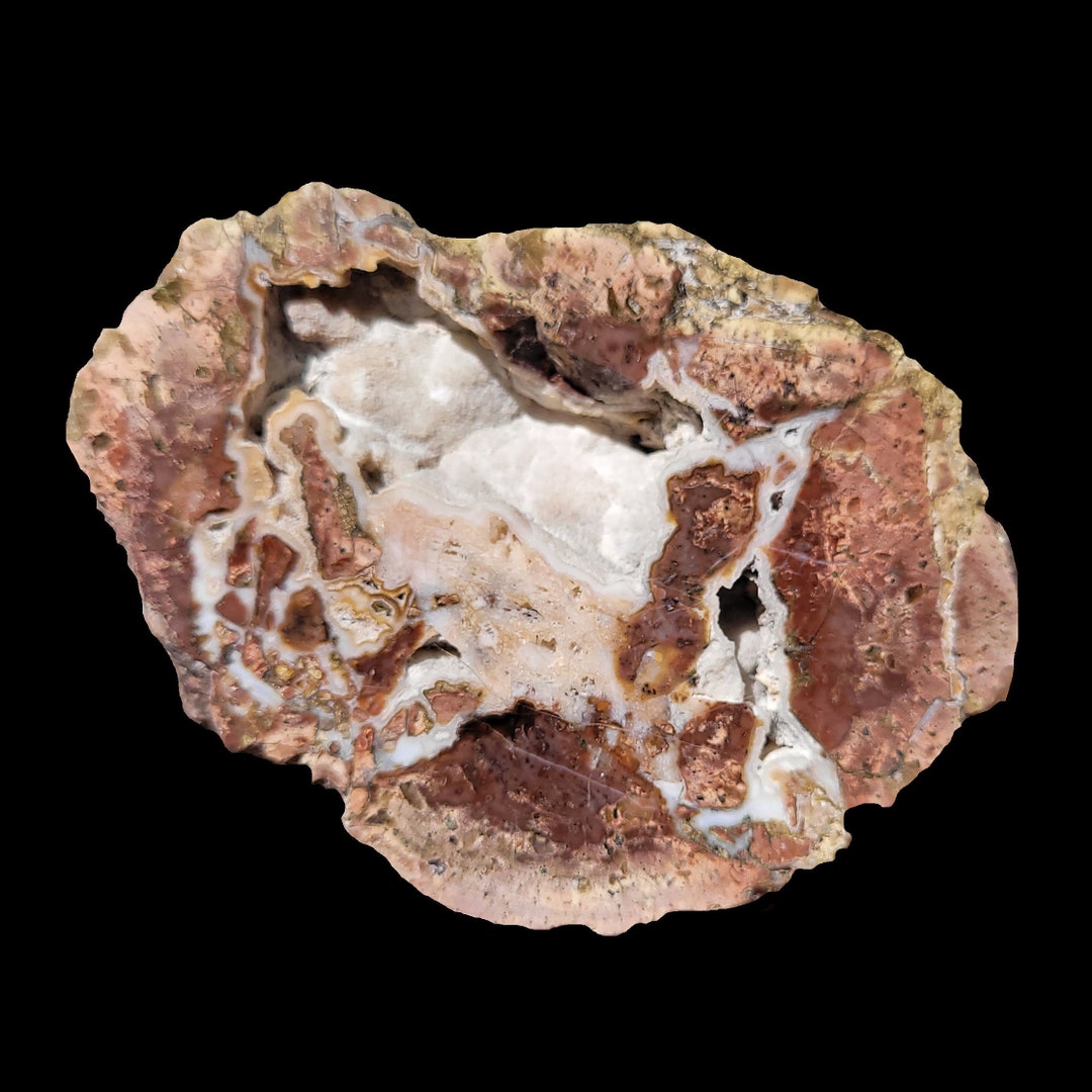 Hauser Bed Wiley's Well Thunderegg Geode Polished Display Piece - Etsy