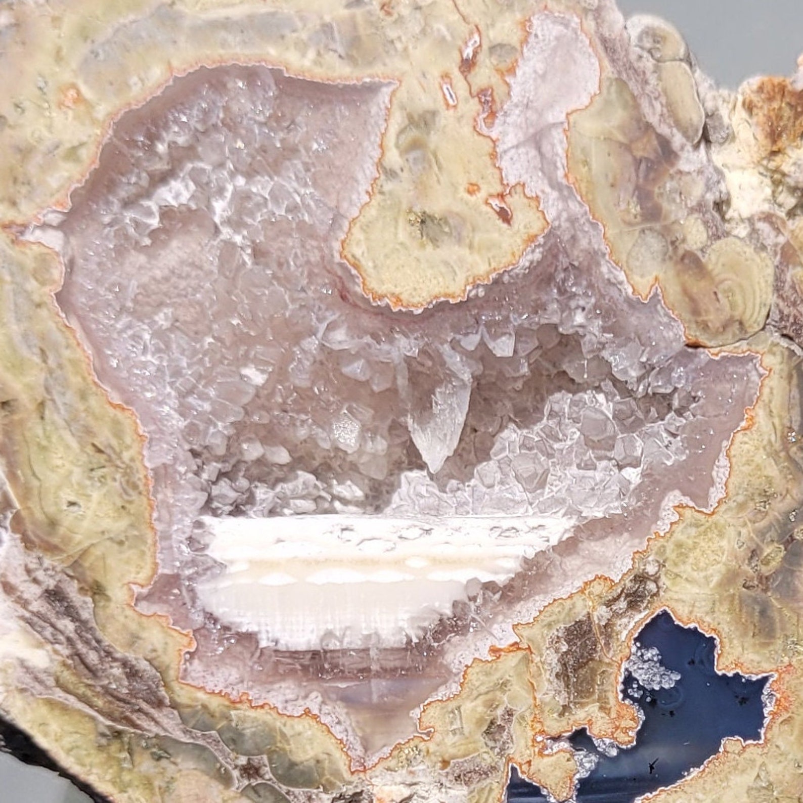 Fallen Tree Thunderegg Geode Polished Display Piece - Etsy