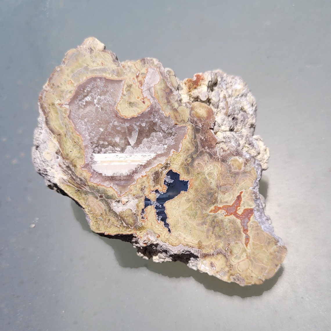 Fallen Tree Thunderegg Geode Polished Display Piece - Etsy