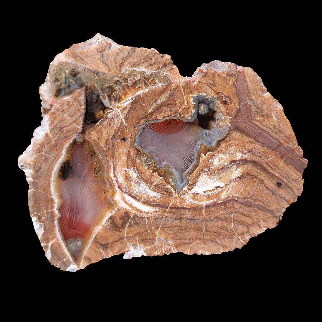 Baker Egg Mine Thunderegg Polished Display Piece - Etsy