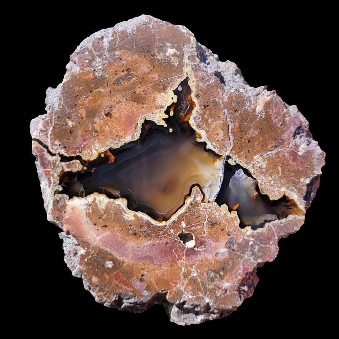 Friend Ranch Thunderegg Polished Display Piece - Etsy