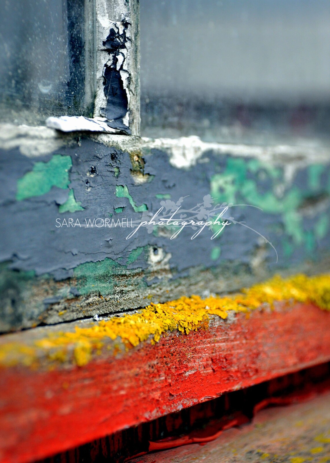 Fish Shed Window Sill Fine Art Photography Print Nautical Algae ...