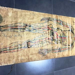 Old and Rare Anatomy Human Chart - Etsy