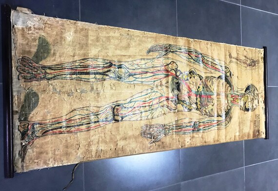 Old and Rare Anatomy Human Chart - Etsy