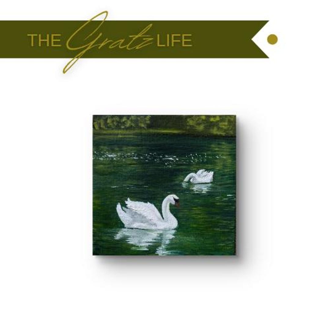 Swan Print, the Gratz Life, Fine Art Print, 4x4 Print, Swan Art, Bird ...