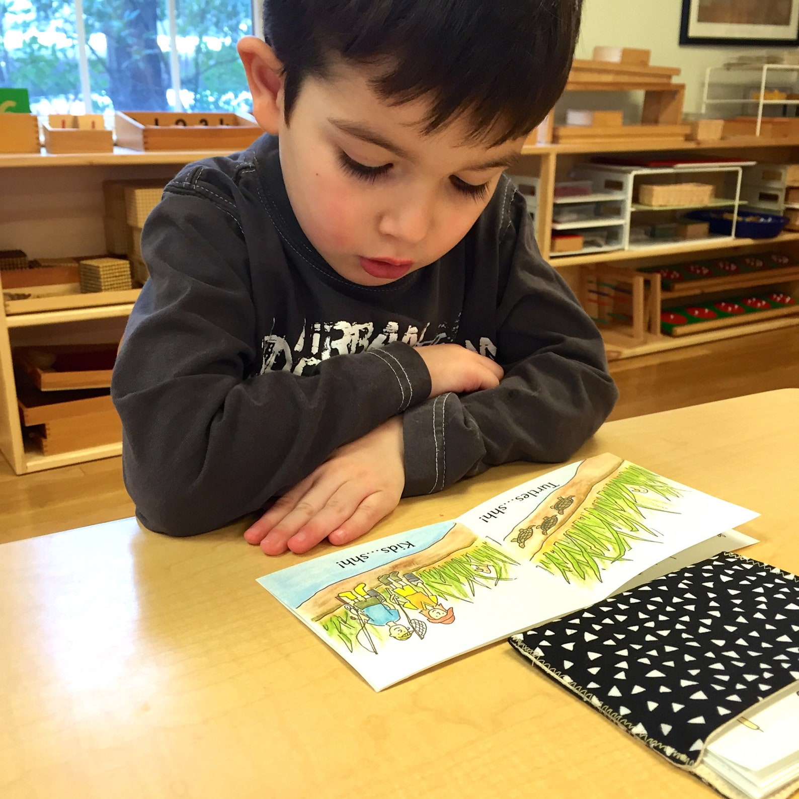 Miss Rhonda's Readers: Mini Books - Etsy