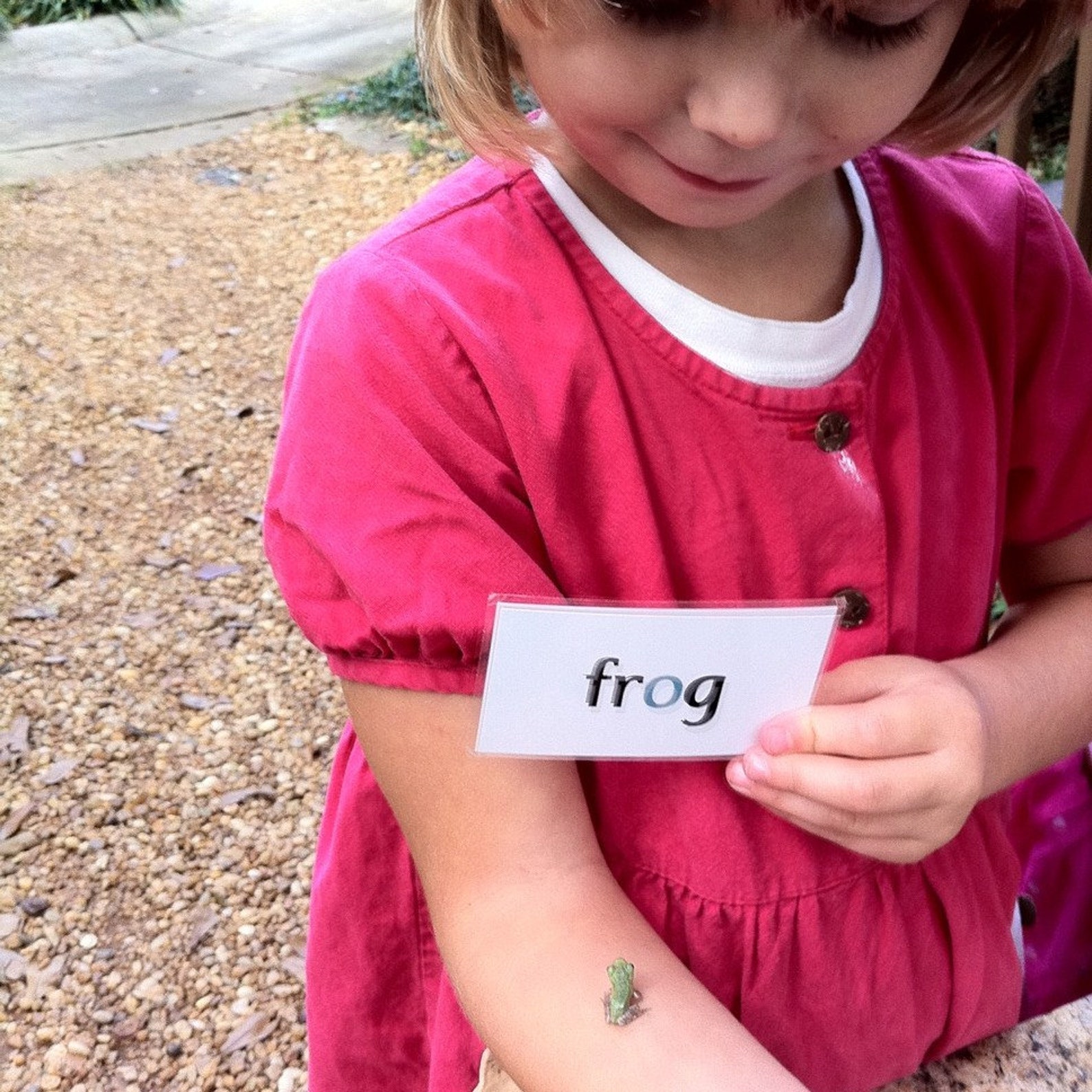 Phonetic Word Cards - Etsy