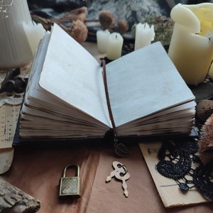 Charmed Book of Shadows Pocket Notebook Field Journal Spell Book ...