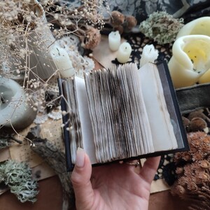 Charmed Book of Shadows Pocket Notebook Witch Journal Spell Book ...
