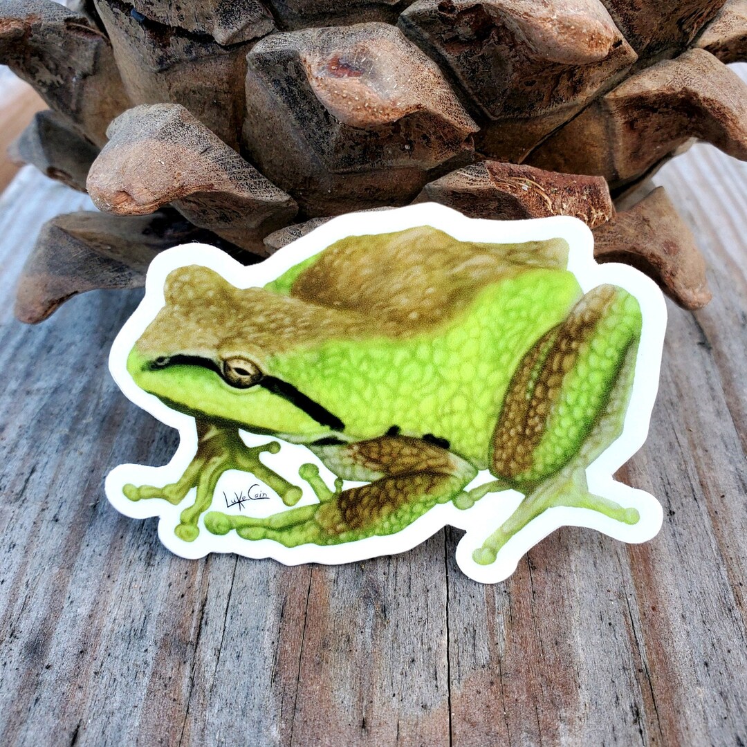 PNW Tree Frog Vinyl Sticker Hand-drawn Frog Art Green Tree Frog Pacific ...