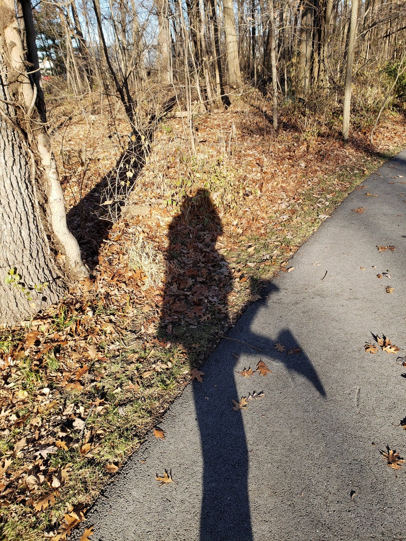 Couple Shadow Nature Trail Photo Artwork Pair Download - Etsy