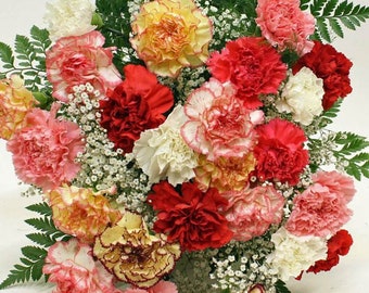 Giant Carnation - Etsy