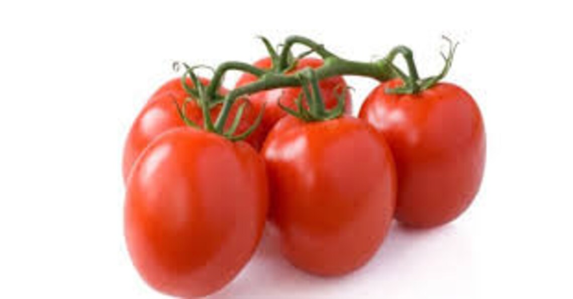 50 Pcs Organic Roma Tomato non GMO SOLANUM LYCOPERSICUM / - Etsy Canada