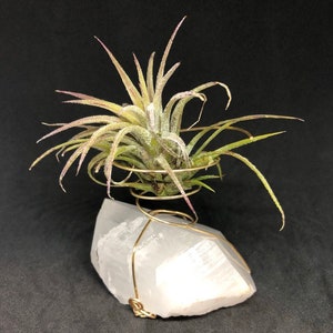 Quartz Crystal Air Planter, 150g, Natural Point, Self Healed - Etsy