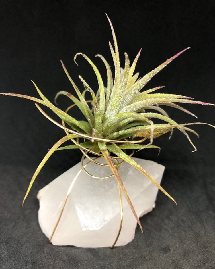 Quartz Crystal Air Planter 150g Natural Point Self Healed - Etsy