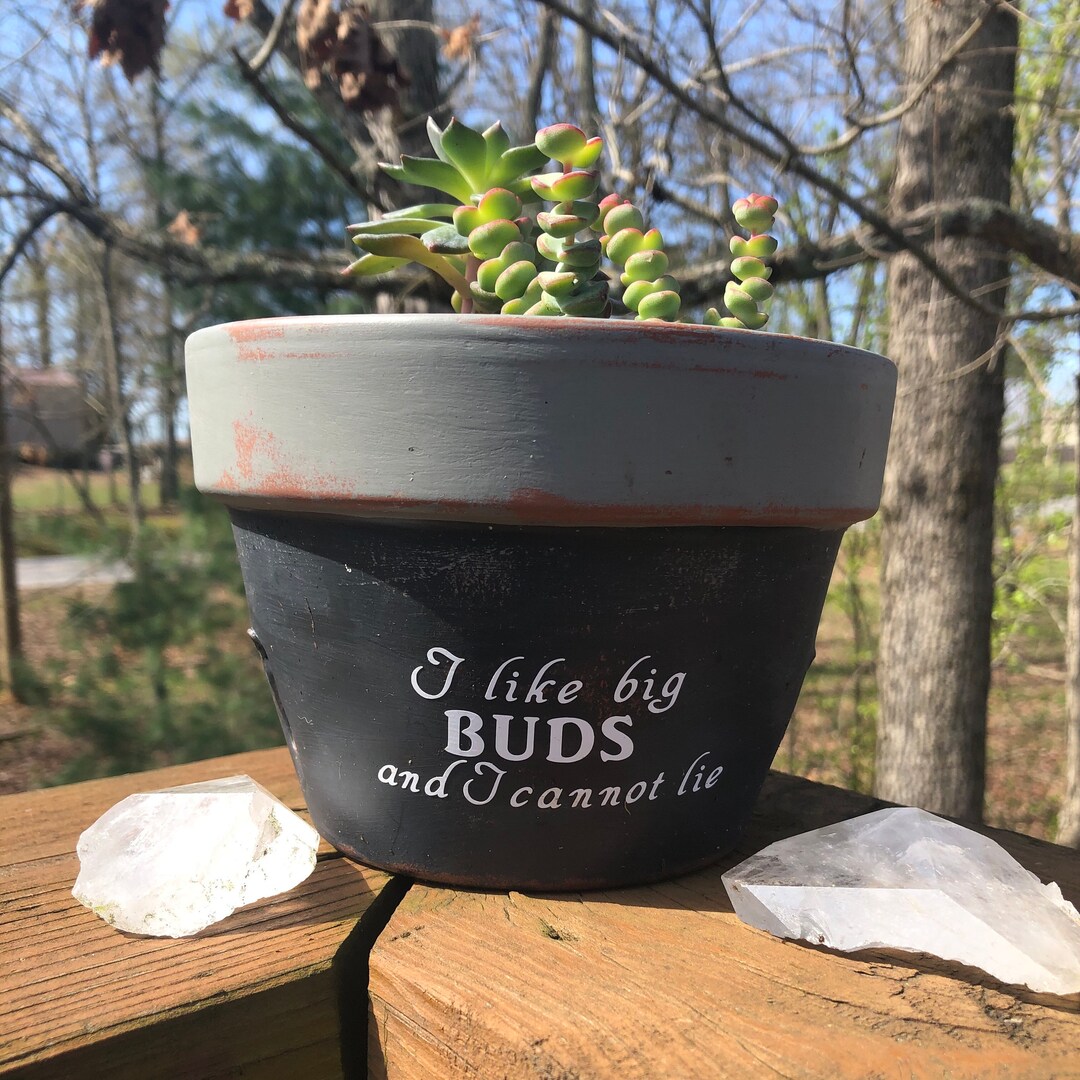 I Like Big Buds Succulent Planter, Punny Planter, Flower Pot, Chalk ...