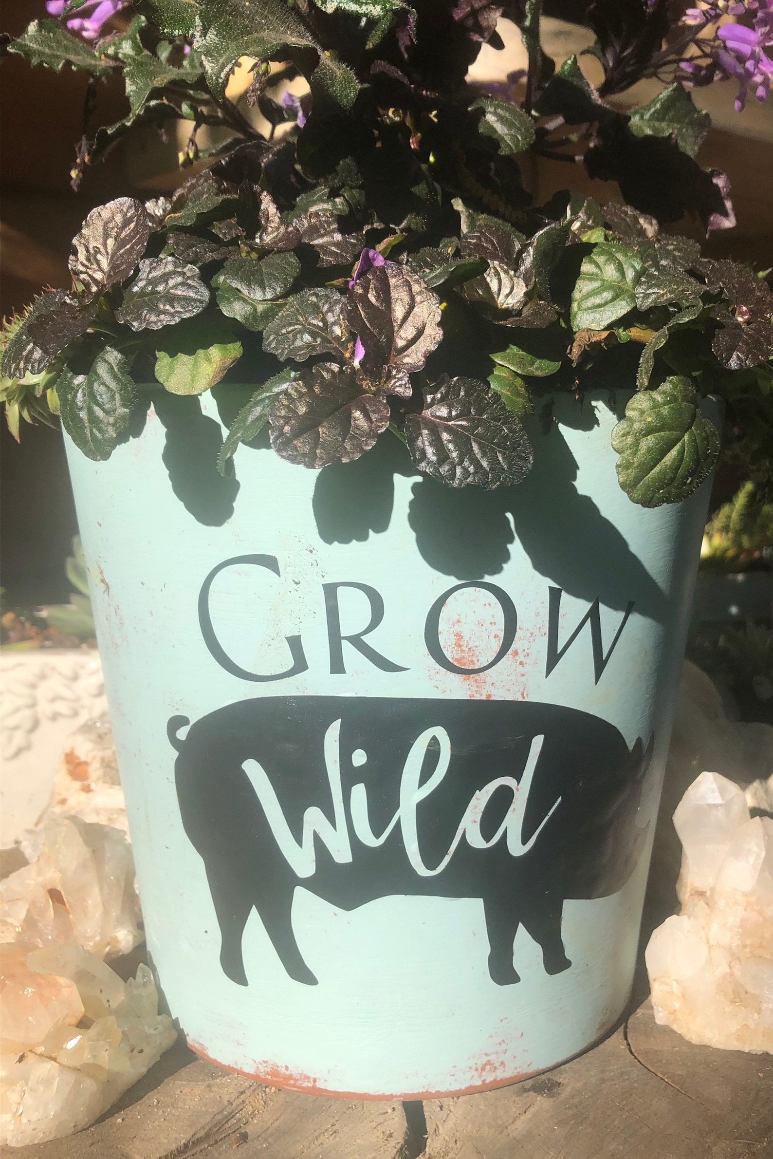 Grow Hog Wild Planter Pot Flower Pot Indoor Planter Outdoor - Etsy