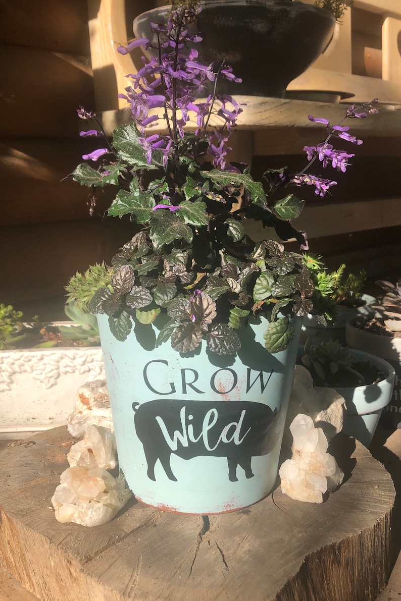 Grow Hog Wild Planter Pot Flower Pot Indoor Planter Outdoor - Etsy