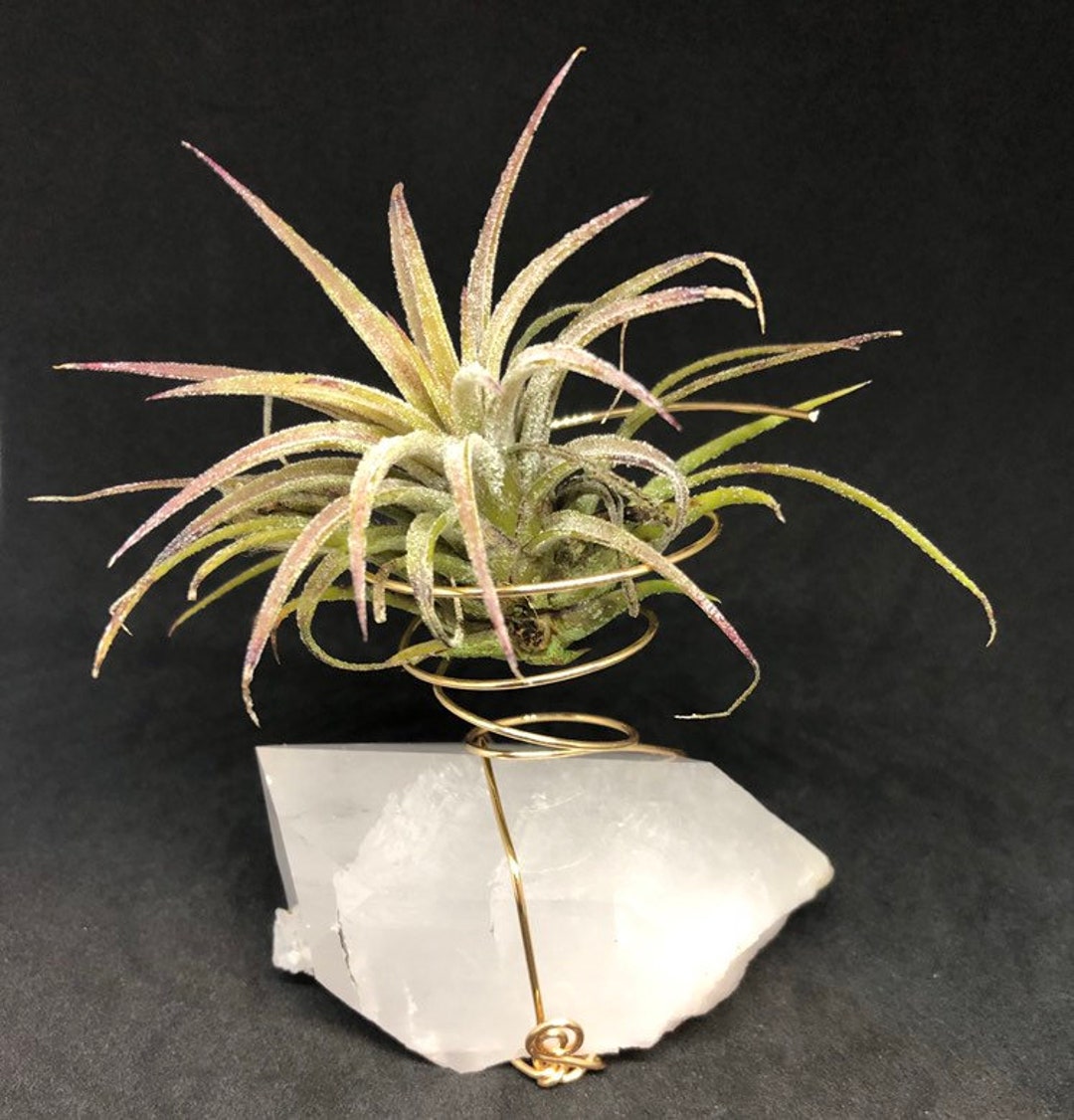 Quartz Crystal Air Planter, 150g, Natural Point, Self Healed - Etsy