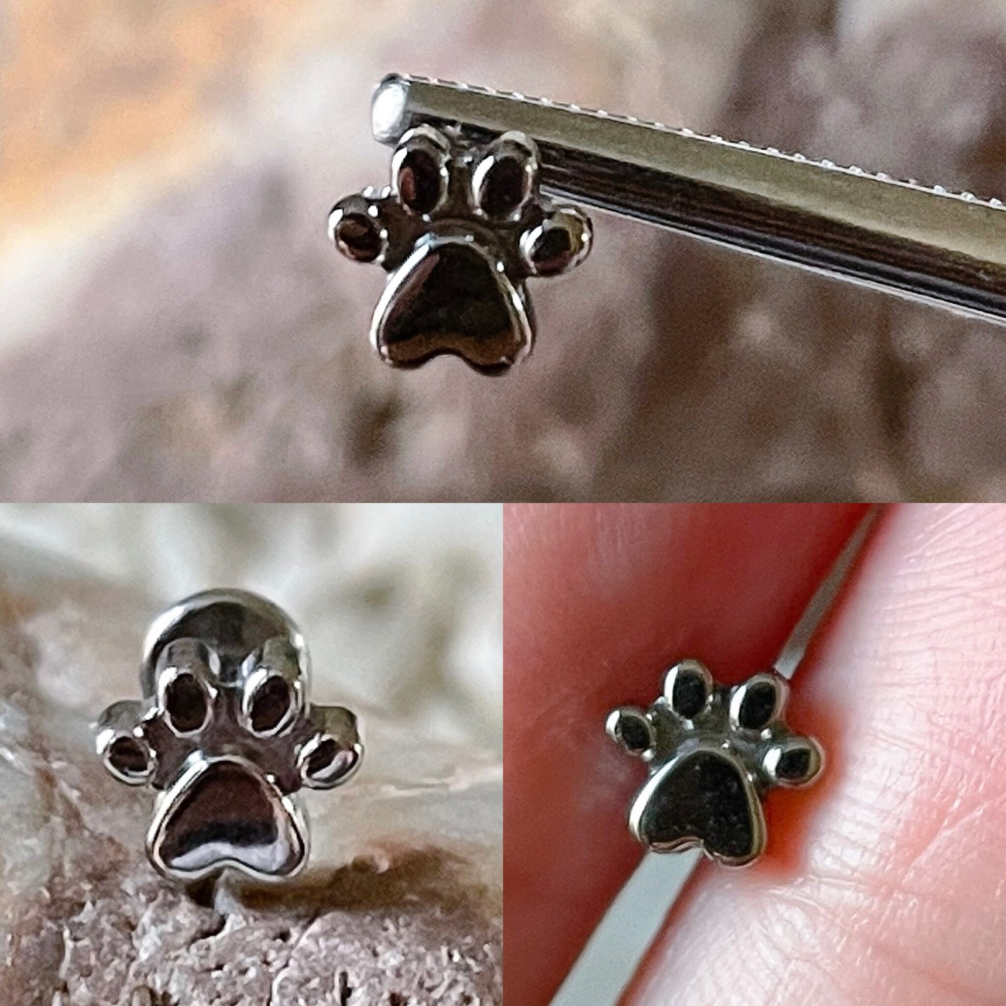 ASTM F136 Titanium Heart Paw Print Labret Helix Conch Cartilage Tragus ...