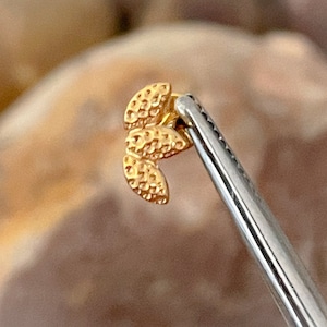 ASTM F136 Titanium Pitted Hammer Effect Marquise Leaf Internally ...