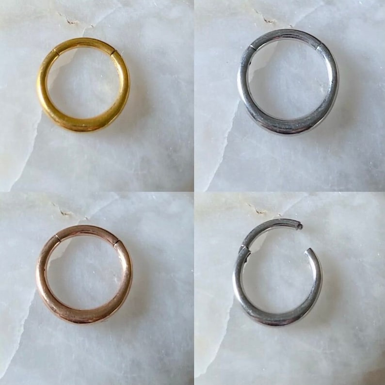 Slightly Chunky Drop Edge Effect Hinged Septum Clicker Daith Rook Ear ...