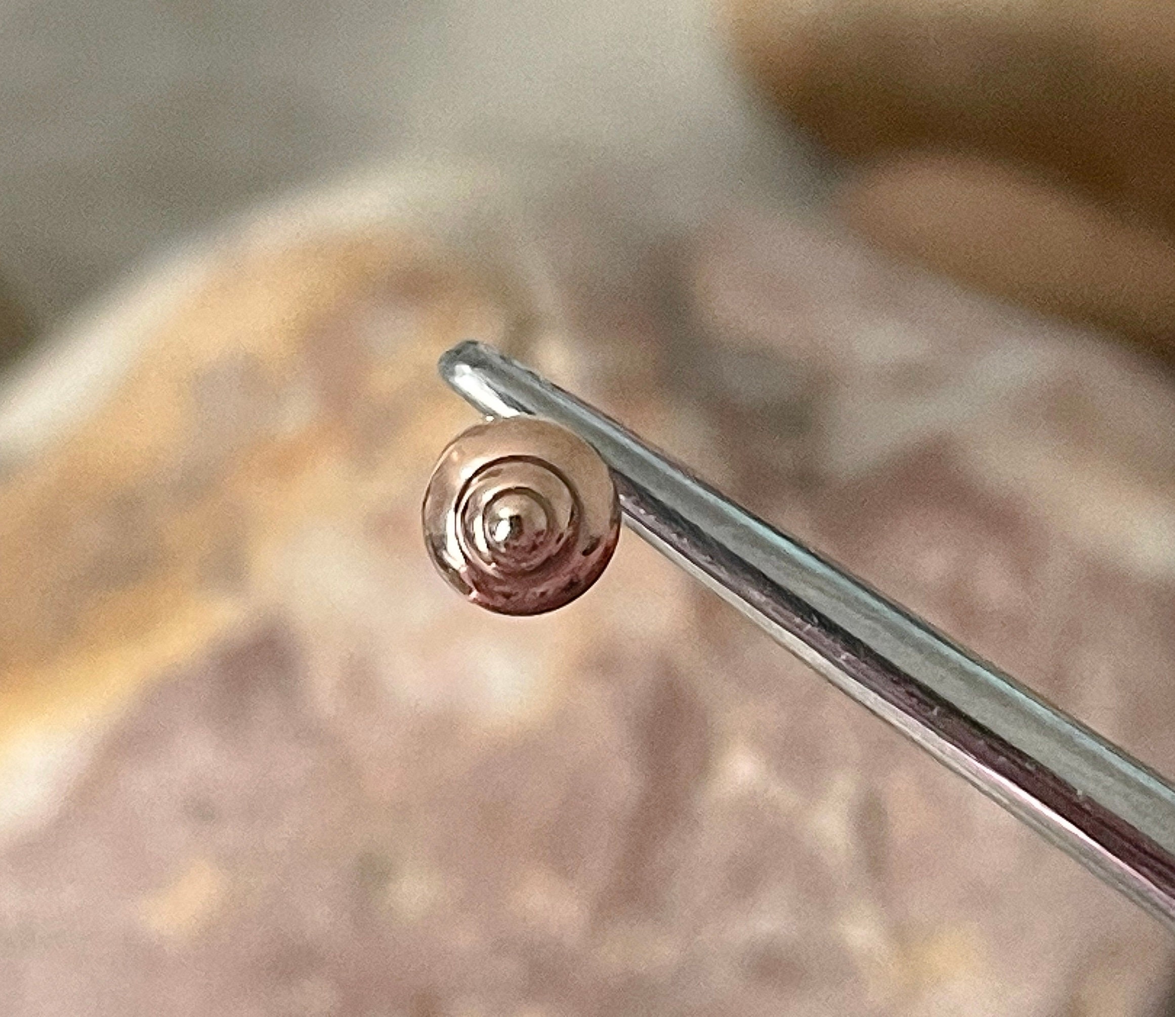 ASTM F136 Titanium Round Swirl Spiral Effect Internally - Etsy