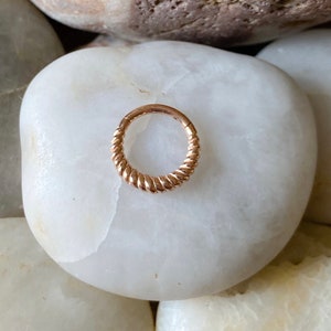 Graduated Chunky Twisted Rope Braided Hinged Septum Clicker Daith Rook ...