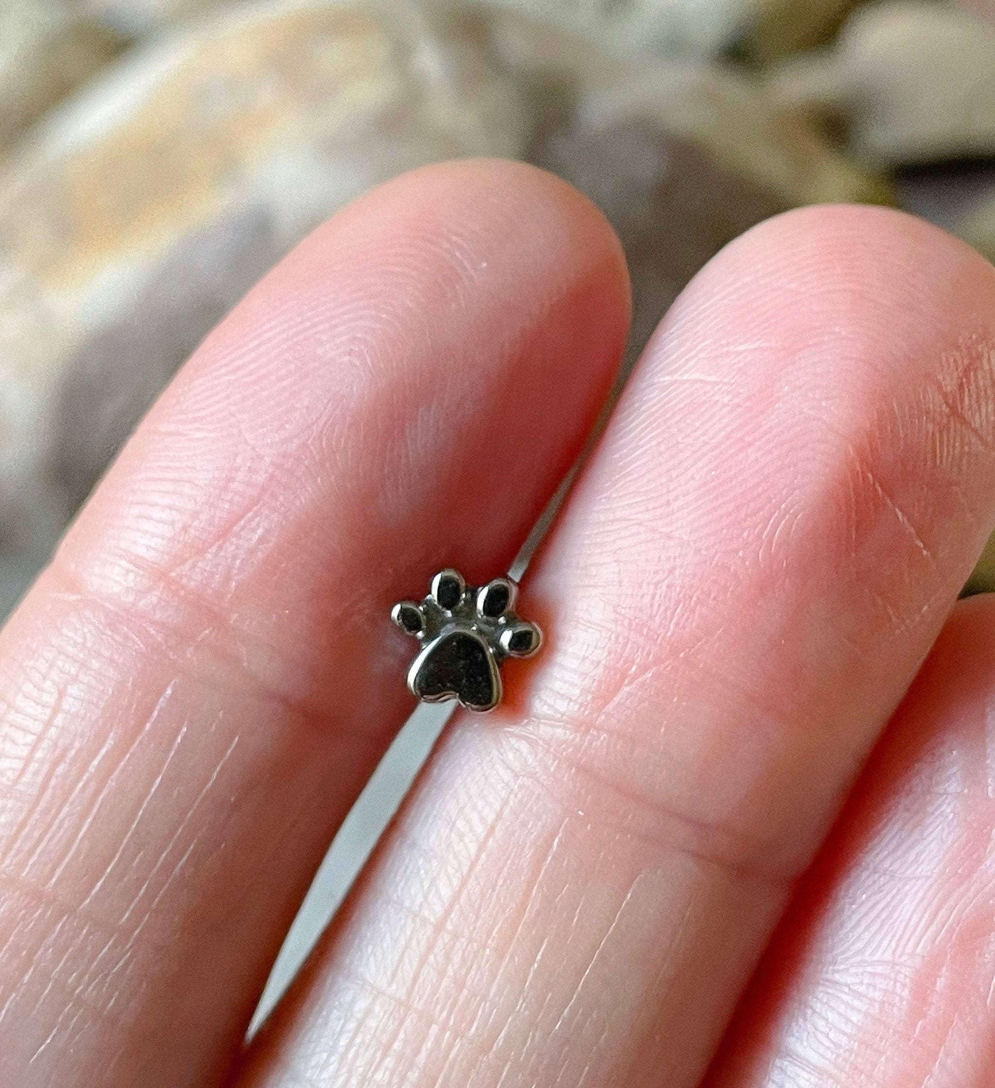 ASTM F136 Titanium Heart Paw Print Labret Helix Conch Cartilage Tragus ...