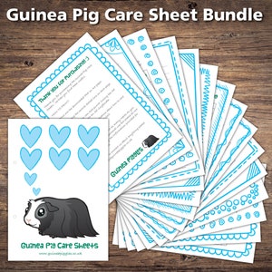 Guinea Pig Care Sheets Bundle Printable Checklists Charts & - Etsy