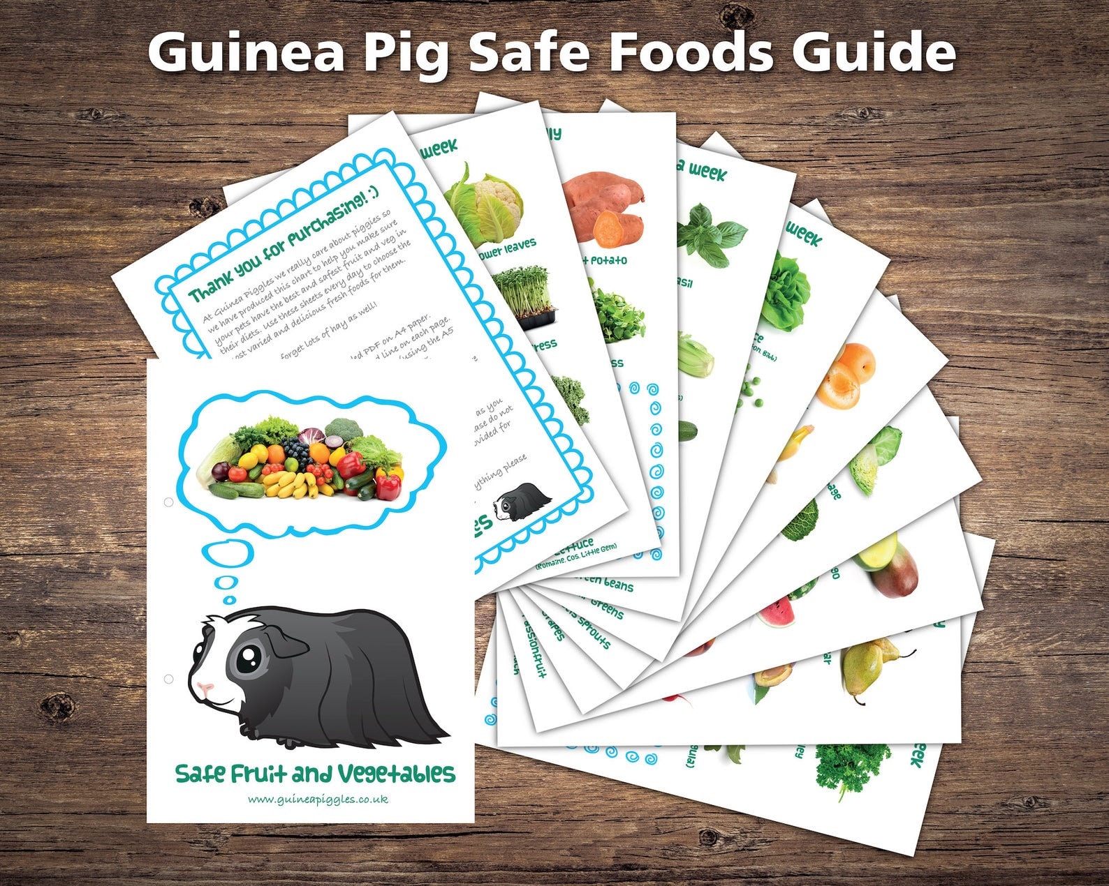 Blue GUINEA PIG Care Sheets & Safe Fruit and Veg Sheets BUNDLE ...