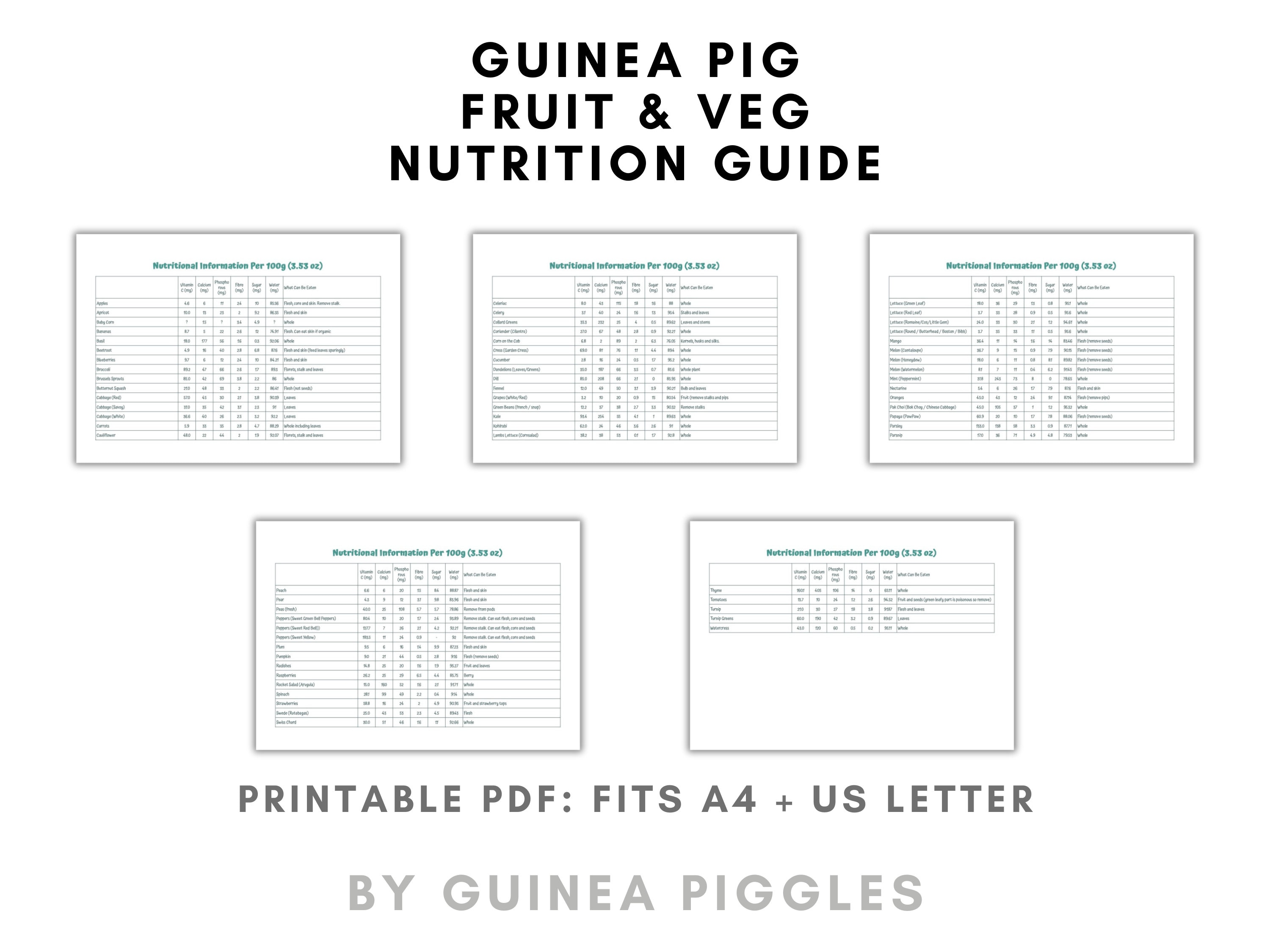 Guinea Pig Care Sheets & Food Charts Pack PDF Printables Downloads - Etsy
