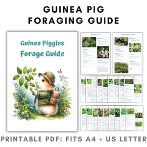 Guinea Pig Forage Guide 21 Wild Foods: Safe Weeds Plants PDF Printable ...