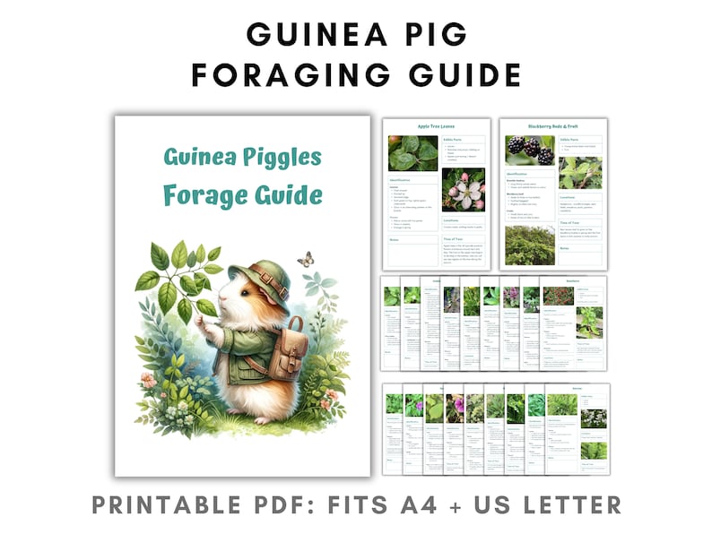 Guinea Pig Forage Guide 21 Wild Foods: Safe Weeds Plants PDF Printable ...
