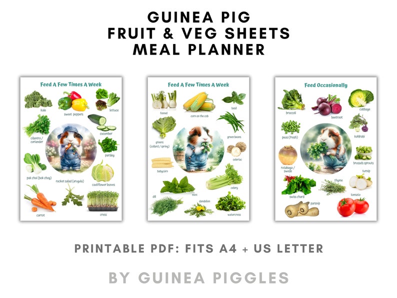 Guinea Pig Food Charts: Safe Fruit & Veg | Meal Planner | Nutrition Guide PDF Printables - Etsy