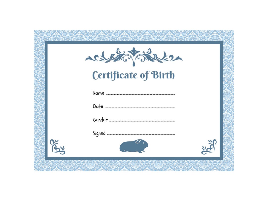 Guinea Pig Birth Certificate Printable PDF A4 Download - Etsy New Zealand