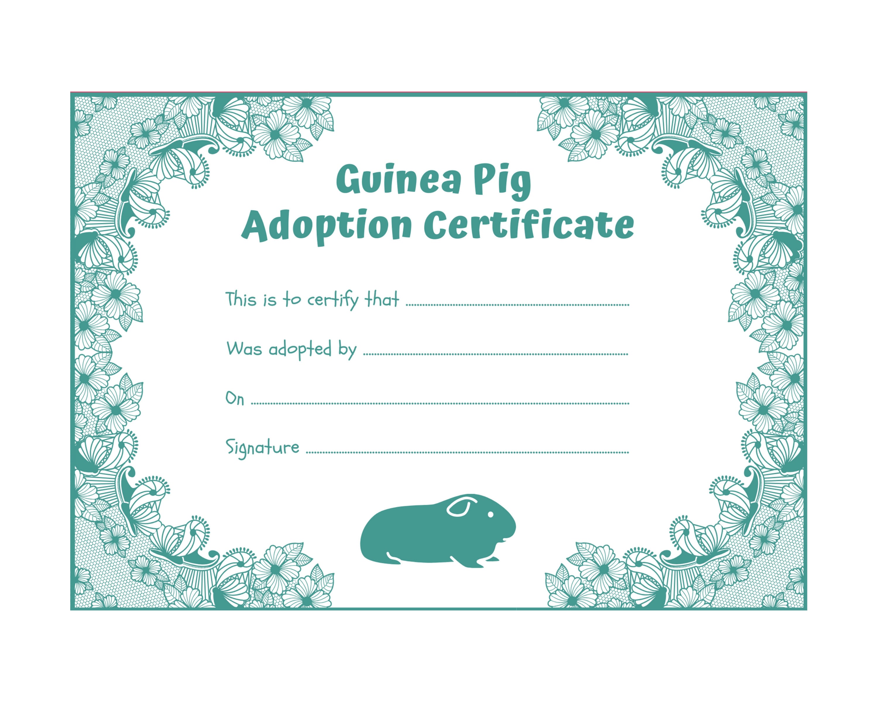 Guinea Pig Adoption Certificate (blue) - Instantly Printable Download ...