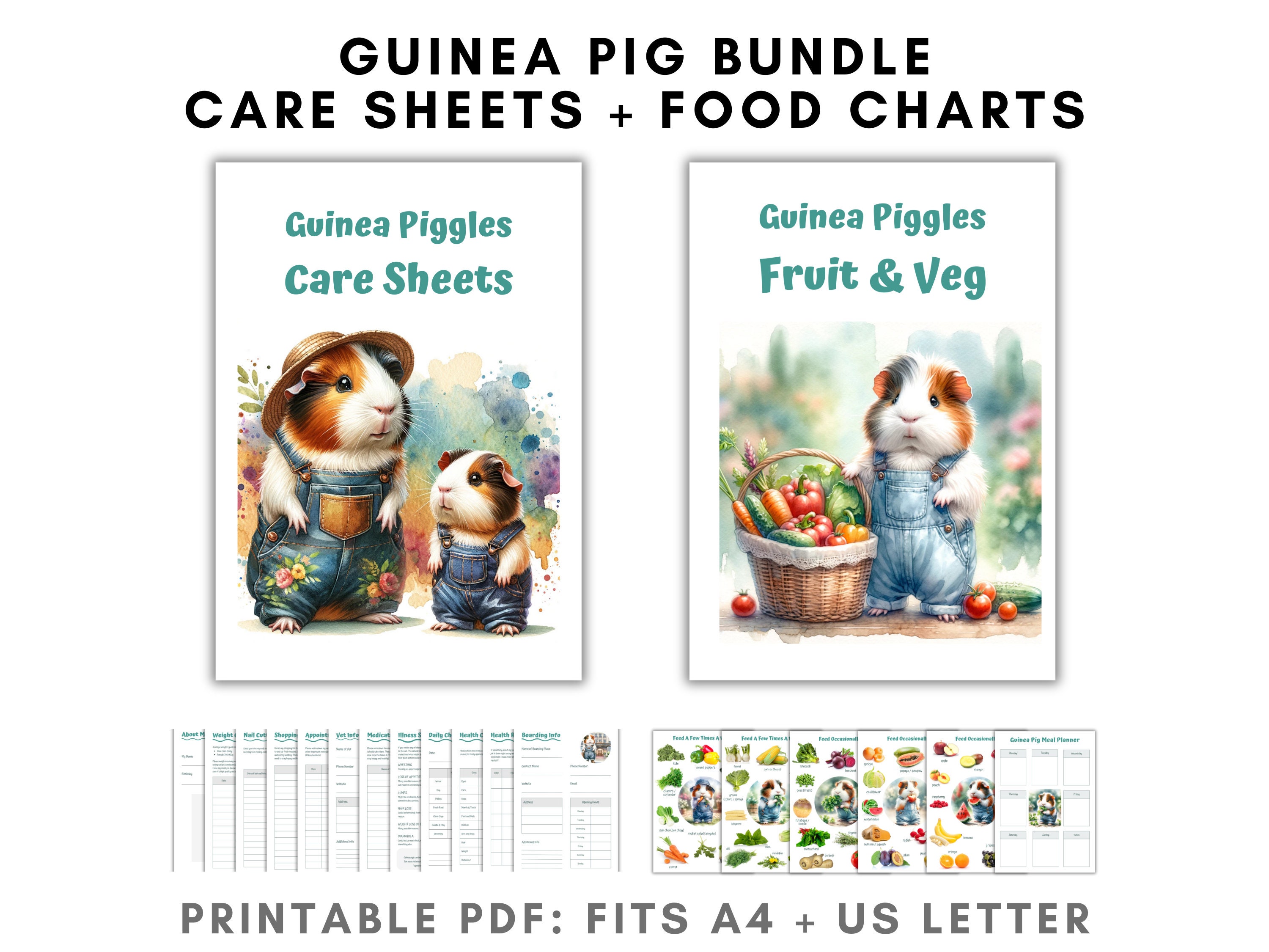 Guinea Pig Care Sheets & Food Charts Pack PDF Printables Downloads - Etsy