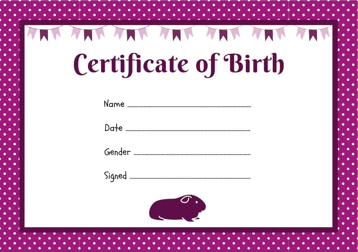 Guinea Pig Birth Certificate | Printable PDF | A4 Download | Instant ...