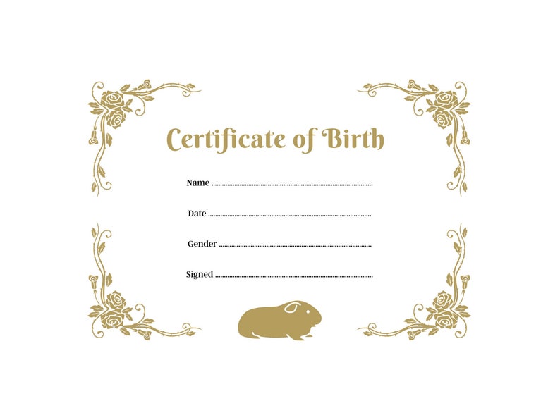 Guinea Pig Birth Certificate | Printable PDF | A4 Download | Instant ...