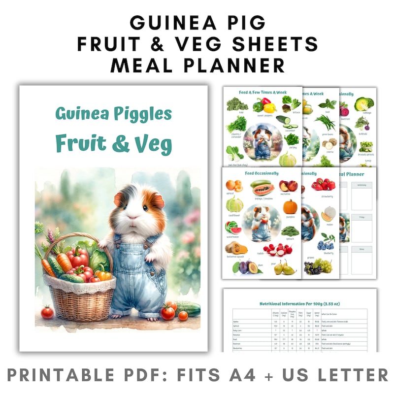 Guinea Pig Food Charts - Etsy