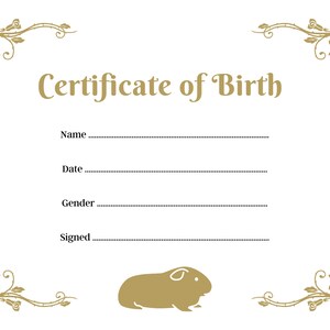 Guinea Pig Birth Certificate | Printable PDF | A4 Download | Instant ...
