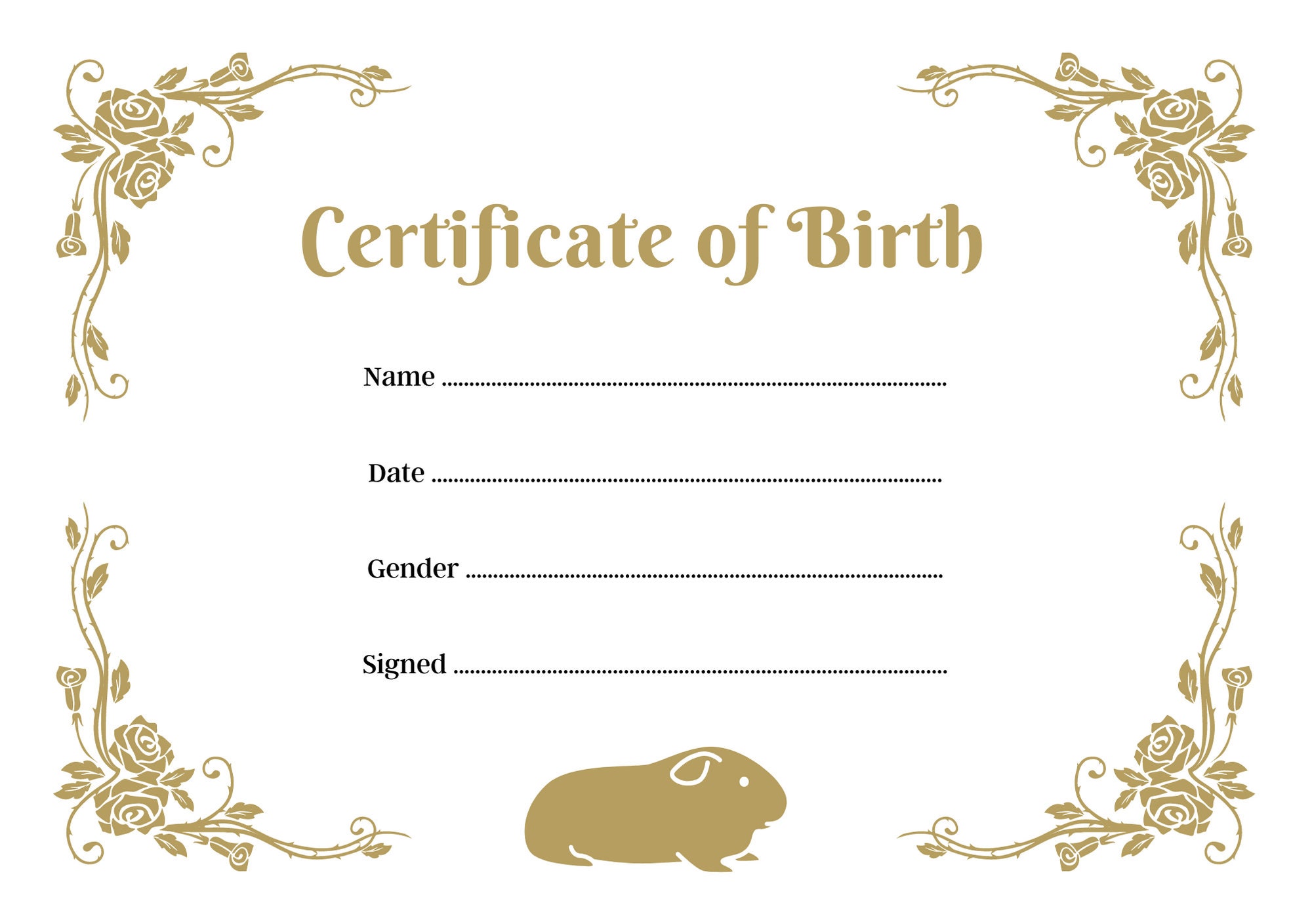 Guinea Pig Birth Certificate | Printable PDF | A4 Download | Instant ...